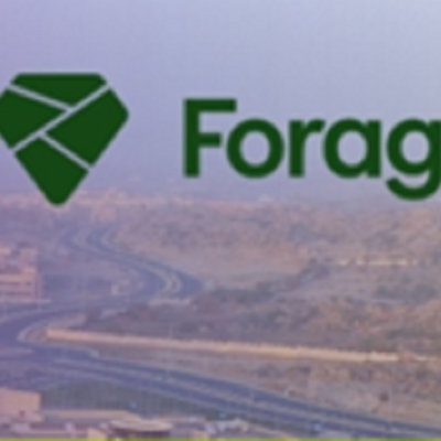 Home page | College of Languages and Translation